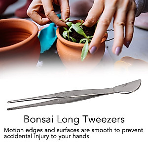 CHICIRIS Bonsai Long Tweezers, Garden Tweezers Bonsai, Stainless Steel Bonsai Tweezers Long Tweezers with Moon Spatula Head for Potted Loosening Soil Planing Grass (Straight)