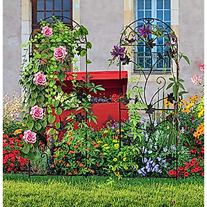 2 Packs 64"x17" Metal Garden Trellis for Climbing Plants Rustproof Sturdy Black Iron Trellis Plants Support Outdoor for Climbing Vegetable Rose Potted Plants Flower Cucumber Clematis