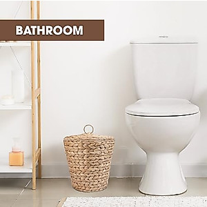 TREVIETDECOR Wicker Trash Can with Lid | Wicker Trash Basket | Wicker Waste Basket for Bathroom, Bedroom, Kitchen, Living Room