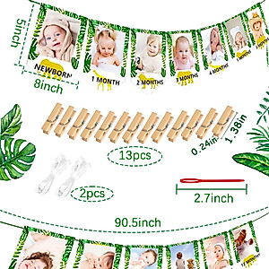JeVenis Jungle Gold Monthly Photo Banner Wild One Monthly Photo Banner Safari First Birthday Banner Monthly Photo Banner Zoo Jungle Banner