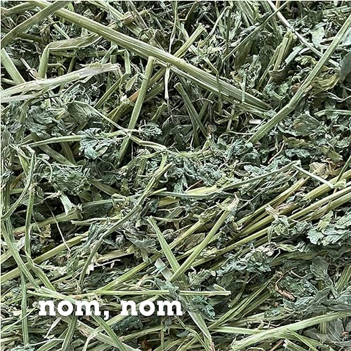 5 Lbs Fresh Alfalfa Hay by Bunny Honey - USDA Organic Natural Hay for Guinea Pigs, Rabbits, Hamsters, Hedgehogs, and More Small Select Animal Pets - 2nd Cut Fresh from Farm (5LB)