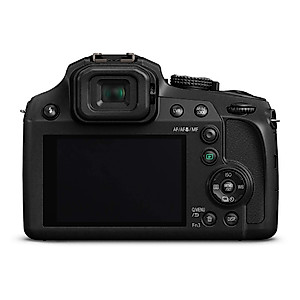 Panasonic Lumix DC-FZ80 Digital Camera + Memory Card Bundle