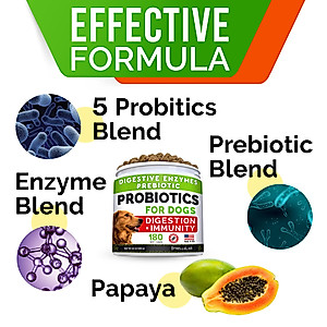 Allergy Relief + Probiotics Dogs Bundle - Itchy Skin Treatment + Digestive Enzymes - Omega 3 & Pumpkin + Prebiotics - Dogs Itching & Licking Treats + Improve Digestion - 360 Chews - Made in USA