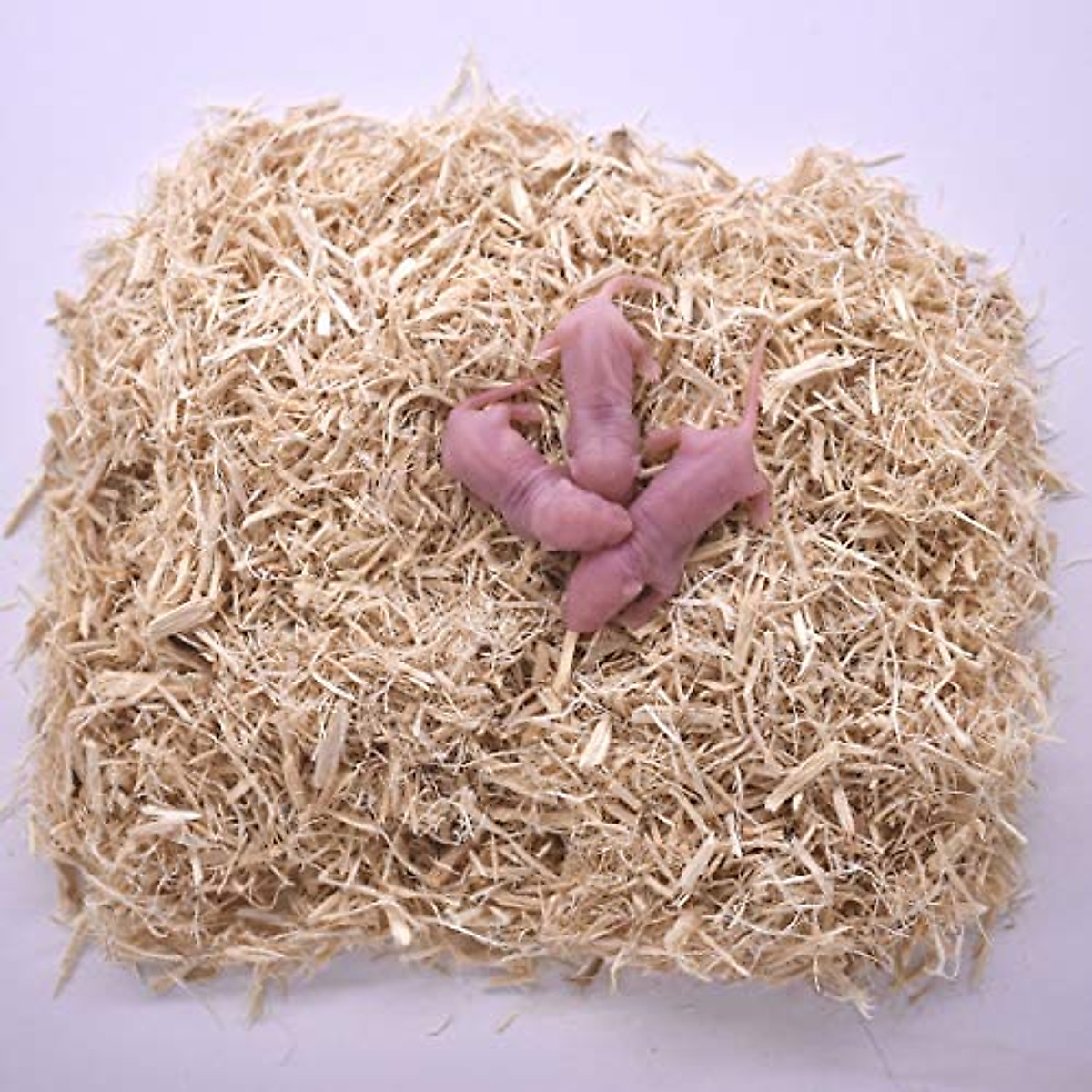 MiceDirect Frozen Mice Combo Pack of 20 Pinkies & Small Fuzzies Feeder Mice – 10 Pinkies & 10 Small Fuzzies - Food for Corn Snakes, Ball Pythons, & Pet Reptiles - Snake Feed Supplies