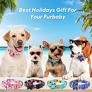 Pink Dog Collar Floral Girl Dog Collar with Rose Flower Bow Tie Dog Collar for Cute Girl Female Cats Dogs Spring Summer Season Dog Collar for Puppy Small Medium Large Dogs Best Gift for Your Furbaby