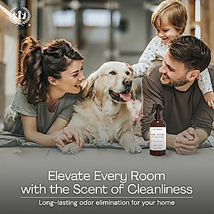 Muse Apothecary Home Ritual Active Odor Eliminator Spray - Furniture Deodorizer & Bathroom Odor Eliminator - Essential Oil Air Freshener - 4oz, Mediterranean Citrus