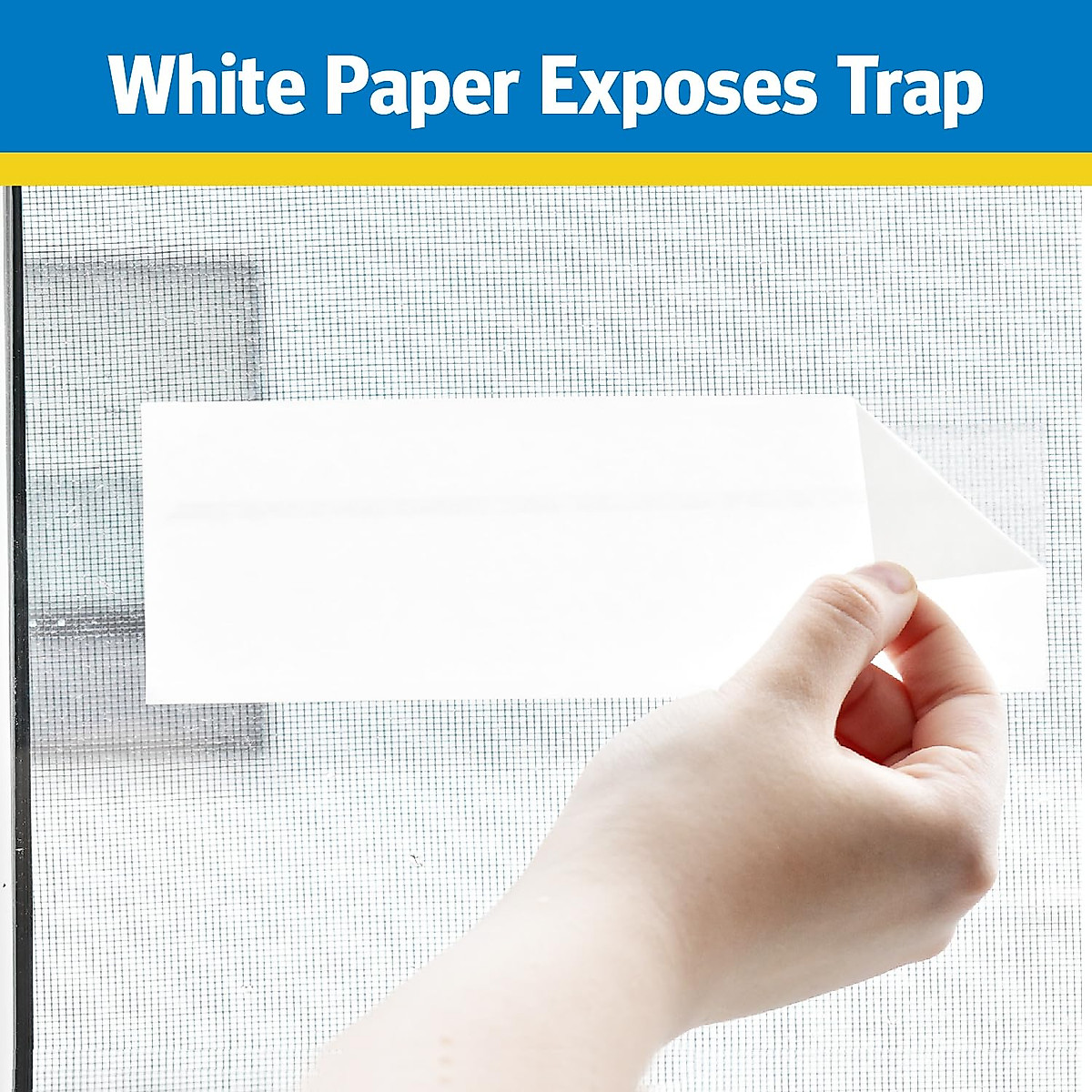 Raid Window Fly Trap, 4 Count (Pack of 3)