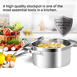 Duxtop Professional Stainless Steel Cookware Induction Ready Impact-bonded Technology (4.2Qt Stockpot)