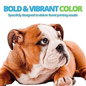 Compatible Toner Cartridge for Brother TN760 TN730, Works with HL-L2350DW HL-L2395DW HL-L2390DW HL-L2370DW MFC-L2750DW MFC-L2710DW DCP-L2550DW, High Yield USA Manufactured (Black,4 Pack)