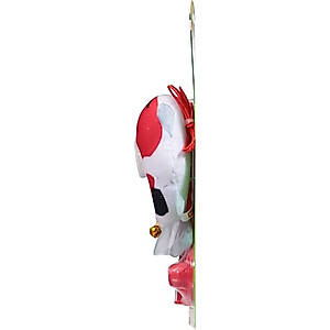 Hartz Cattraction with Silver Vine & Catnip Koi Dangler