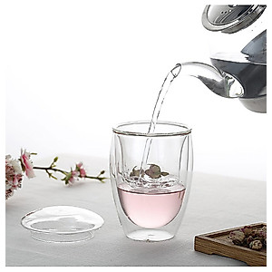 Zaoniy 12 oz Double-wall Glass Tea & Coffee Cup Mug W/Lid and Tea, Heat Resistant, Easy to Brew and Clean