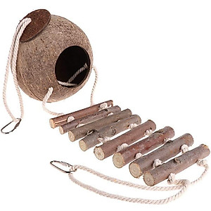 Natural Coconut Shell with Wood Ladder Bird Breeding Nest Bed Perch Swing Toy for Parrot Budgie Parakeet Cockatiel Conure Lovebird Canary Finch Small Parrot Hamster Rat Chinchilla Cage