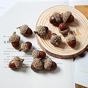 DYNWAVE 200Pcs Natural Acorns Caps Decorative for Craft Vase Fillers Home Garland Autumn Embellishments Ornaments