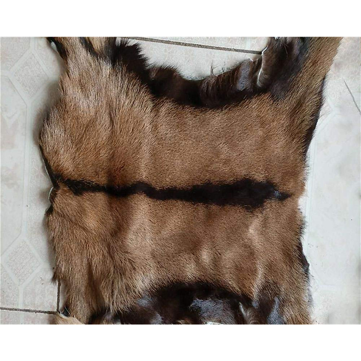 Real Antelope Goat Hide Fur Skin Pelt Fur Sheepskin Leather Fur Skin Clothing Accessories 1pcs (Approx 16"X20")