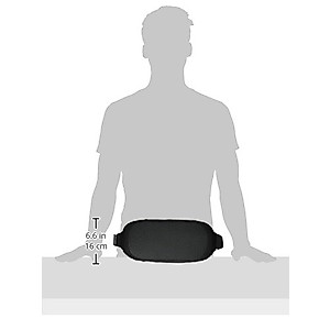 Fellowes I-Spire Series Lumbar Cushion Office Chair Back Support, Black (9472701)