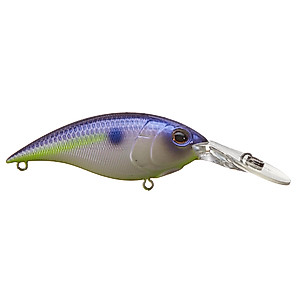 Berkley Money Badger Fishing Lure, Spring Craw, 1/3 oz, 2.5in | 6.25cm, Hybrid Baitfish-Crayfish Design, Patented FlashDisc Technology, Equipped with Sharp Fusion19 Hooks