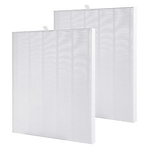 DIFUY Home Wall Hanging Bedroom Natural Living Room Decoration-Environmental Friendly and Durable Household Supplies, 2 True HEPA FiltersL8