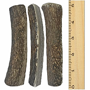 WhiteTail Naturals| USA Prime Split-Cut Elk Antlers for Dogs | 3 Pack Small | All Natural Dog Chews | Naturally Shed, Cruelty-Free- Half Antler Horn Chew Toy