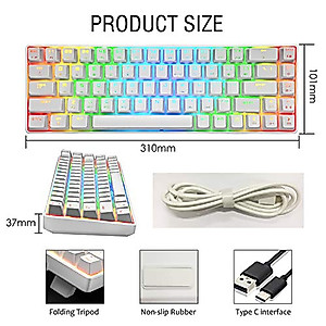 LexonElec Mechanical Gaming Keyboard 18 Chroma RGB Backlit 60% Percent Keyboard with Type C Red Switches 68 Keys Anti-ghosting Wired Gaming Keyboard for PC/Mac Gamer,Typist,Tactile-White