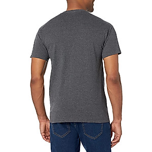 Disney mens Beauty and the Beast Poster Logo Graphic T-shirt T Shirt, Charcoal Heather, 4X-Large US