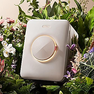 TCHPCFZ Skincare Small Refrigerator, Suitable For Bedroom, Car, Desk And Dormitory Storage Makeup Skincare Products Beauty Mask Professional Constant Temperature Preservation white