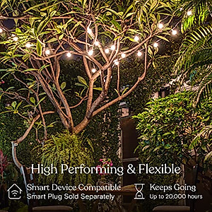 Brightech Glow LED String Lights - 26 Ft Commercial Grade Patio Lights with Brass Accents - Outdoor Waterproof Globe String Light for Backyard, Garden