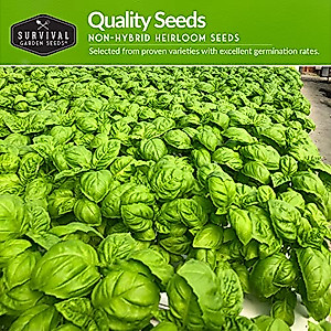 Hydroponics Herb Seed Collection for Planting - Curled Parsley, Sage, Chives, Peppermint, Cilantro & Genovese Basil Herbs for Any Indoor Gardening System- Non-GMO Heirloom Survival Garden Seeds