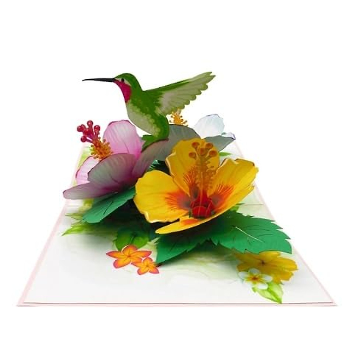 ETA 3D Hibiscus and Green Hummingbird Pop Up Greeting Card for Birthday, Just Because, Thinking of You, Retirement, Get Well, Congratulations, Any Occasions, F38