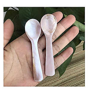 EvaGO Handmade Caviar Spoons Mother of Pearl MOP Caviar Spoon W Round Handle 3.55 inch, 2 pack