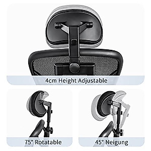 WAFTING Office Chair, Large and Tall Desk Chair, Adjustable Backrest Computer Chair with Thick Seat Cushion, 3D Adjustable Headrest, Lumbar Support and Armrest，Home Office Ergonomic Chair Black
