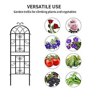 YITAHOME Garden Trellis Garden Fencing for Climbing Plants 2 Pack Decorative Plant Trellis Vegetables and Flower Trellis for Outdoor Patio-19.7×70.9 inches