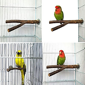 kathson Natural Bird Perch Parakeet Wood Stand Sticks Branches Parrot Paw Grinding Platform Bird Cage Accessories for Budgies Parakeet Cockatiels Conures Lovebirds (8 PCS)