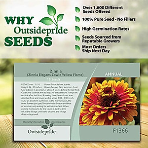 Outsidepride Zinnia Zowie Yellow Flame Heat & Drought Tolerant Garden Cut Flowers - 30 Seeds