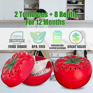 ShuRex Produce Freshness Preserver Saver Kit- Keep Fruits and Vegetables Fresh Longer, Ethylene Gas and Odor Absorber in Refrigerator (2 Saver Balls+8 Refill Sachets)