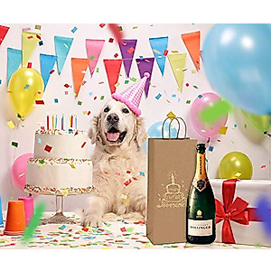 BagDream Kraft Paper Bags 5.25x3.25x13 Inches 50Pcs Wine Bags Paper Gift Bags Kraft Bags Retail Bags Brown Paper Wine Bags with Handles Bulk