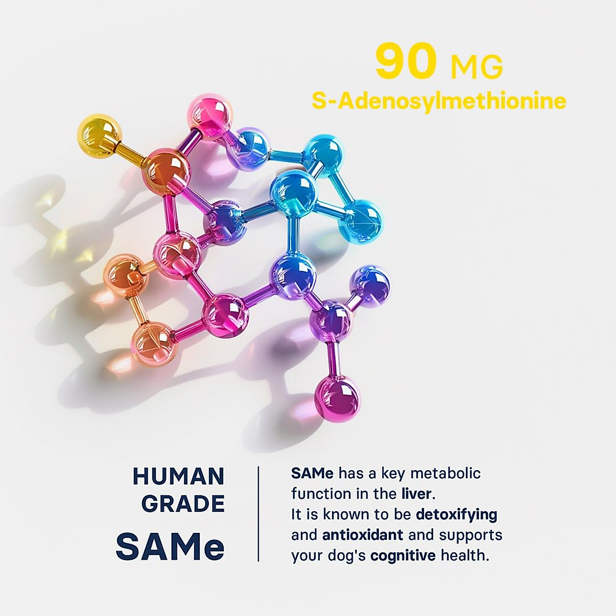 SilymarinAdvanced Liver Health Supplement for Small Dogs, S-Adenosylmethionine (Same) and Silybin, Liver Tablets, Cognitive Support, 30 Tablets