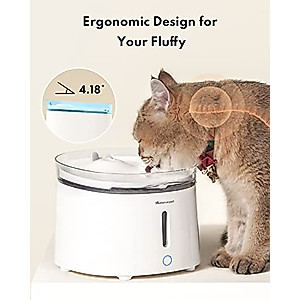 Homerunpet Cat Water Fountain with Wireless Pump, 68oz/2L Ultra Quiet Pet Water Fountain for Cats and Dogs, Easy to Clean and Assemble, Filters Included, Dual Working Mode, Smart LED Light