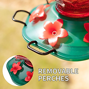 Billion Sky Hummingbird Feeder for Outdoors, Lantern Shaped Bottle, 6 Simulation Flowers Feeding Ports, 26 fl.oz, Hanging for Garden Yard, Rust Proof, Red(Ant Moat Included)