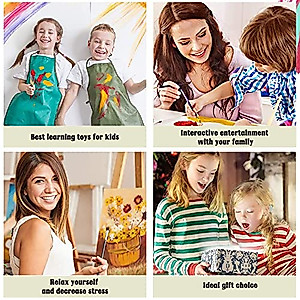 Hlison Paint by Numbers, Paint by Number for Adults, DIY Easy Paint by Numbers for Beginner Kids, Acrylic Painting by Numbers Great for Wall Home Decor Gift 16x20 Inch