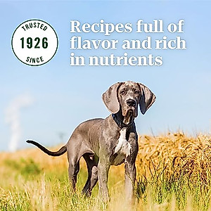 NUTRO NATURAL CHOICE Large Breed Puppy Dry Dog Food, Chicken & Brown Rice Recipe Dog Kibble, 30 lb. Bag