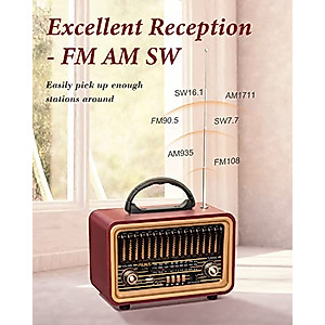 PRUNUS Retro Bluetooth Radio with Rich Bass Speakers,Loud Stereo Sound,Portable Wireless Speakers AM FM Radio with USB, TWS Pairing, BT5.0, TF Card & MP3 Player for Home/Party/Outdoor/Gift