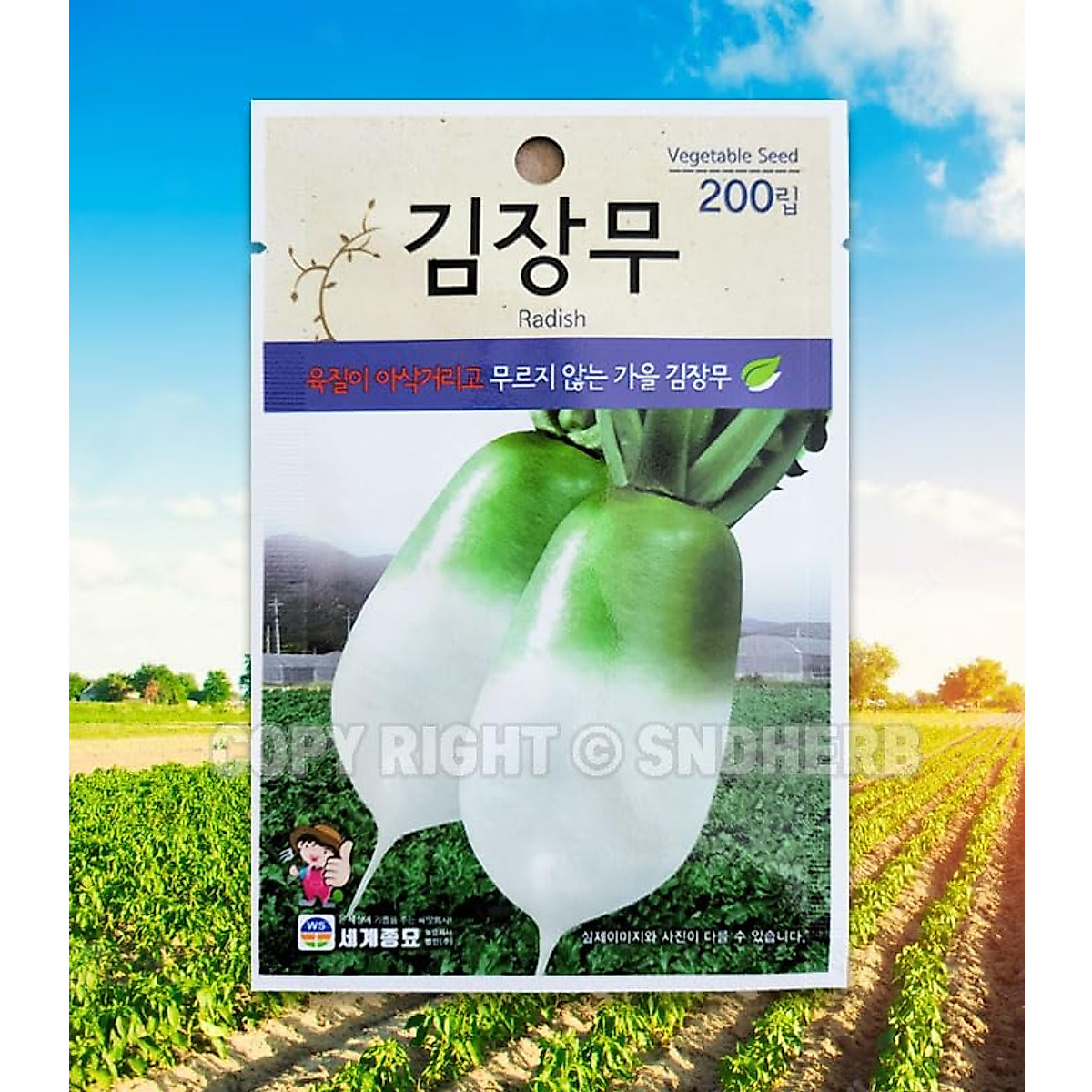 Radish Seeds Korean.2 Pack(4grams-Each)