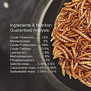 Amzey Appetizing Mealworms 5 LBS- 100% Non-GMO Dried Mealworms - Large Meal Worms - High Protein Treats- Perfect Mealworm for Chickens, Ducks, Turtles, Blue Birds, Lizards - Bag of Mealworms 5 LBS