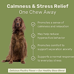 Canine Keeps Calming Chews for Dogs - Relaxation with Hemp, Chamomile & Valerian Root - Dog Anxiety Relief Supplement - Aids Separation, Travel & Storms - Calming Treats for Dogs - 90 Ct.