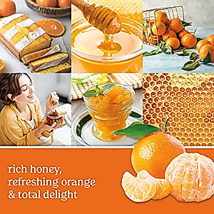 Yankee Candle Honey Clementine Signature Medium Pillar Candle, 14.25oz