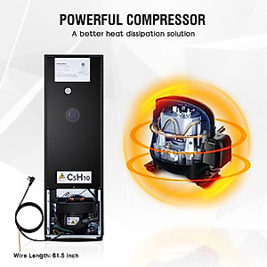 Phiestina Wine Cooler, Freestanding Wine Fridge Holds 12 Bottles, Small Wine Refrigerator for Home Bar with Digital Temperature Control, Glass Front Doors and Interior Lighting