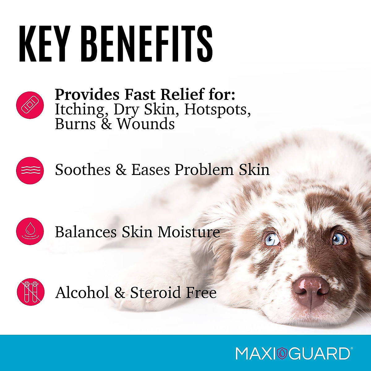 Maxi-Guard Pet Skin Care Gel Zn7 Derm with Neutralized Zinc for Dogs, Cats, Bovine, Exotics and Companion Animals (2oz), red/White