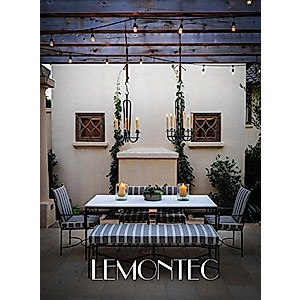 Lemontec Commercial Grade Outdoor String Lights with 15 Hanging Sockets - 48 Ft Black Weatherproof Cord Weatherproof Strand for Patio Garden Porch Backyard Party Deck Yard – S14 Black