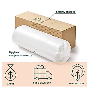 ZINUS 12 Inch Cloud Memory Foam Mattress / Pressure Relieving / Bed-in-a-Box / CertiPUR-US Certified, Twin