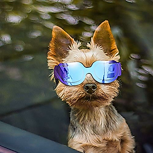 Enjoying Small Dog Sunglasses Dog Goggles Small Breed for UV Protection Snow-Proof Windproof Goggles with Flexible Straps for Puppy Cat - Blue